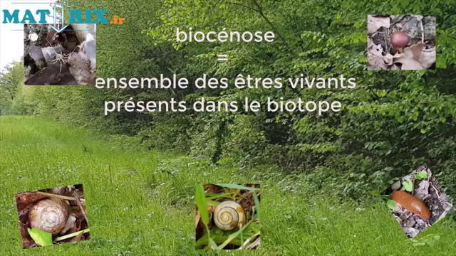 Pod - Niveaux De Biodiversité